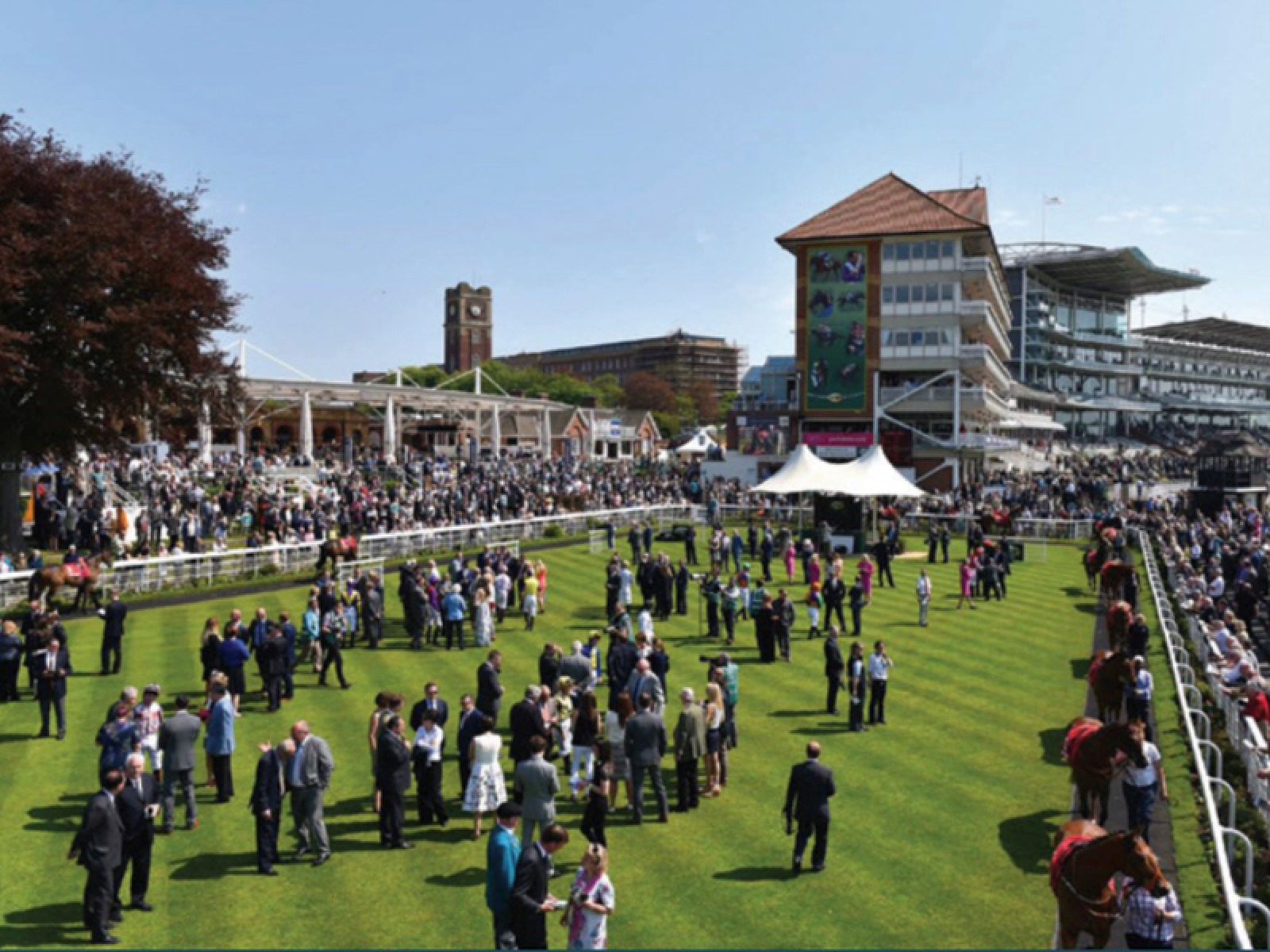 What To Expect From Macmillans Charity Raceday 2023 At York Racecourse